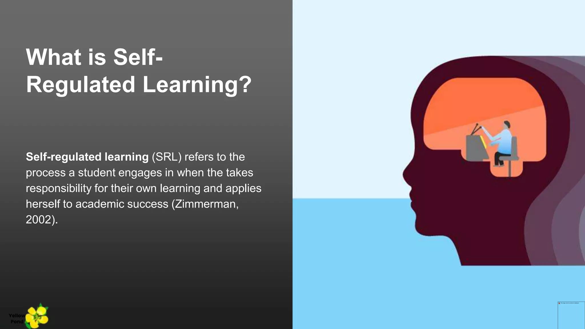 Self regulation | PPTX