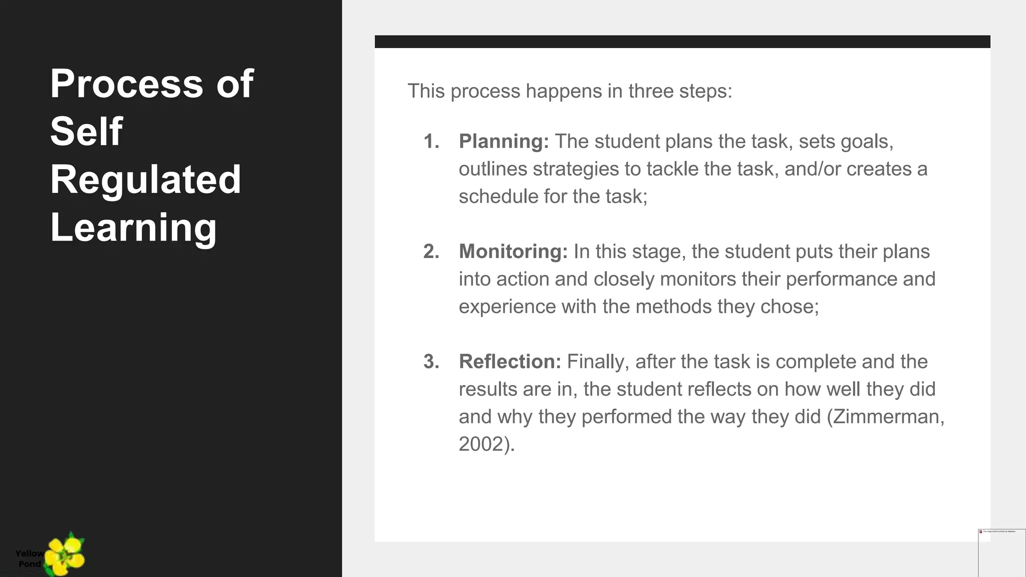 Self regulation | PPTX