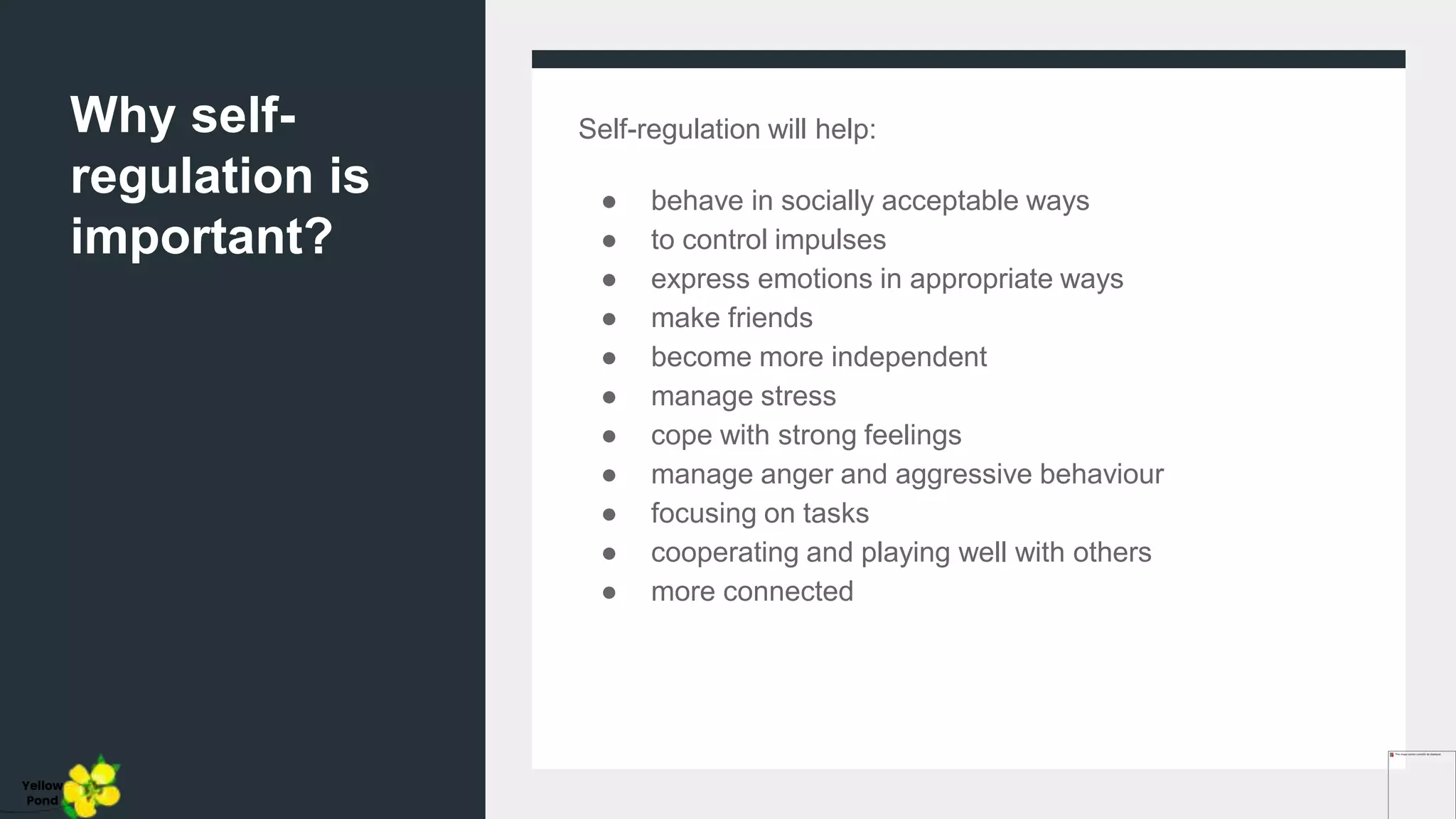 Self regulation | PPTX
