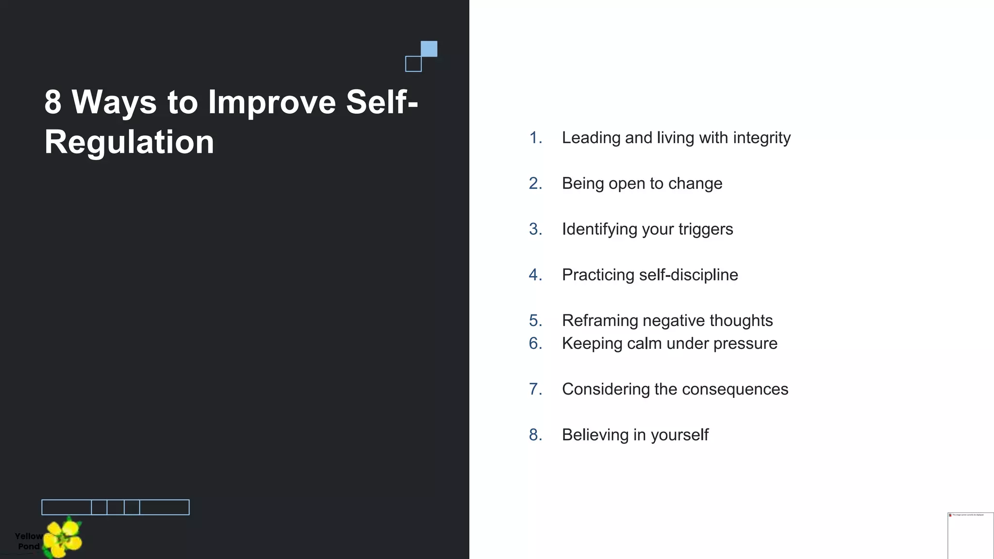 Self regulation | PPTX