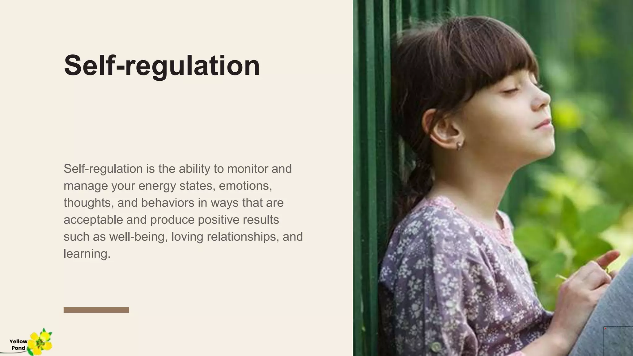 Self regulation | PPTX