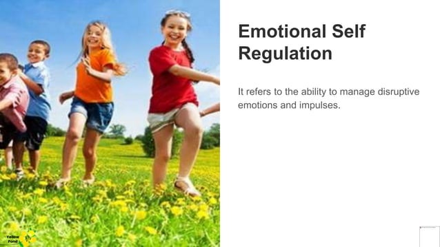 Self regulation | PPTX