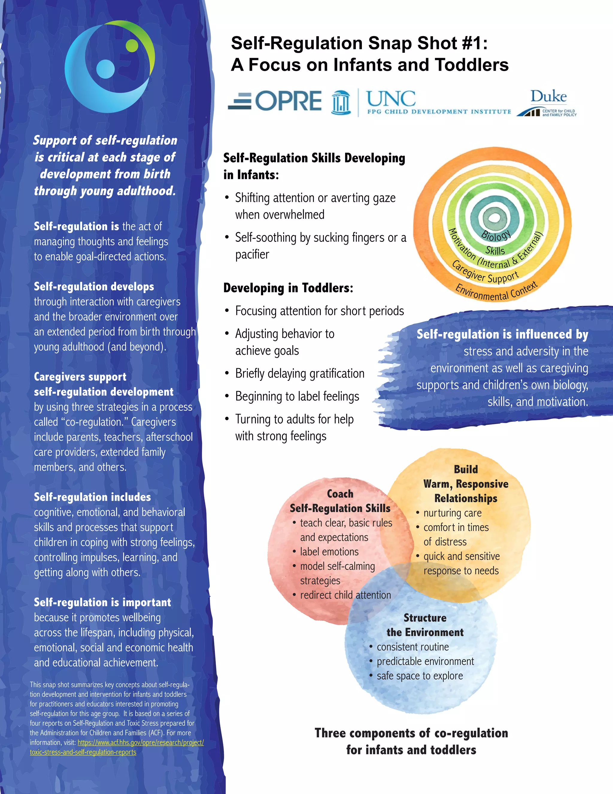 Self regulationsnapshot#1 | PDF