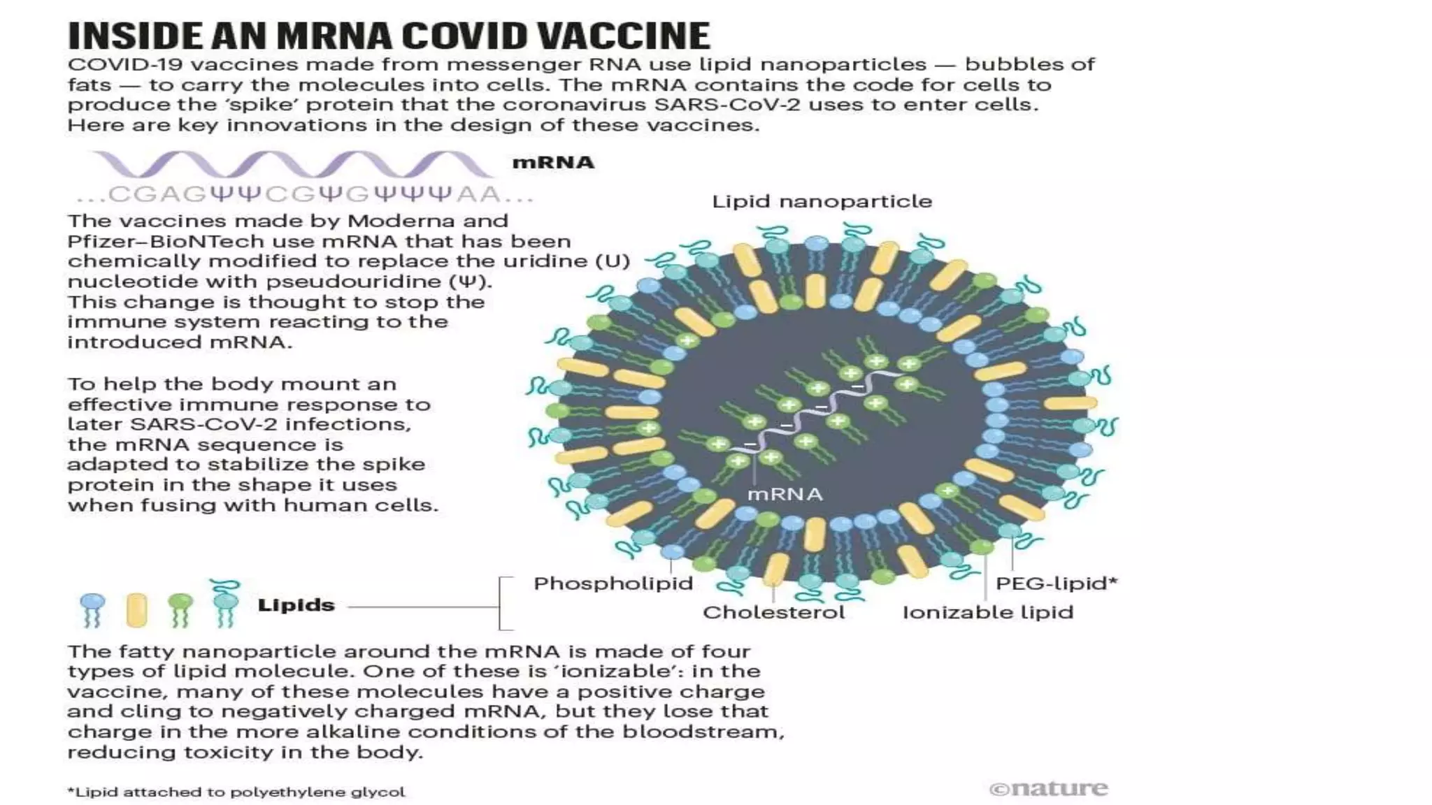 SELF REPLICATING RNA VACCICE_1.pptx