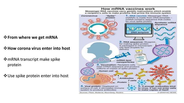 SELF REPLICATING RNA VACCICE_1.pptx