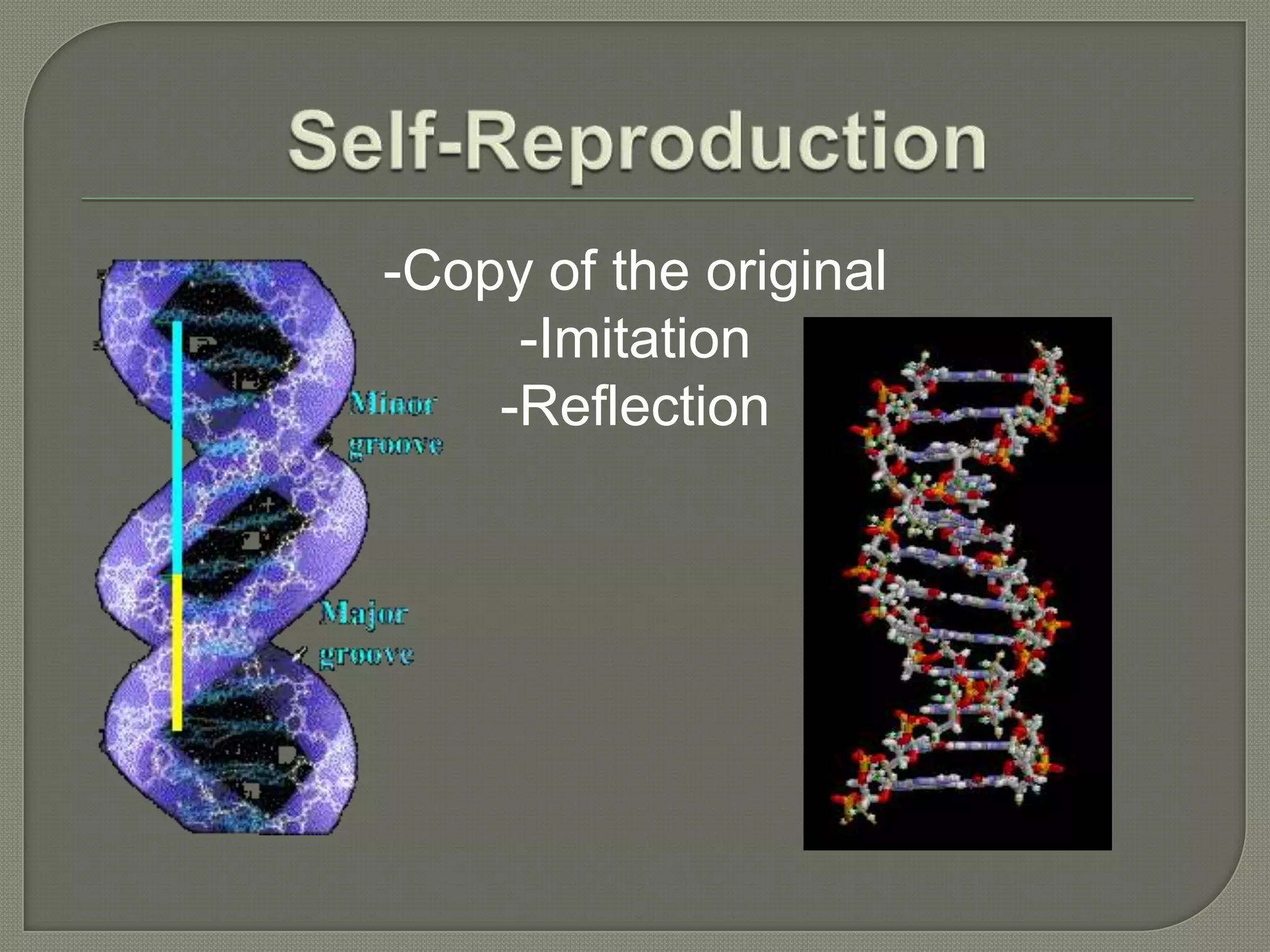 Self Reproducing Machines | PPTX