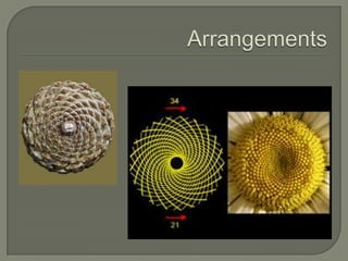 Self Reproducing Machines | PPTX