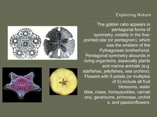 Self Reproducing Machines | PPTX