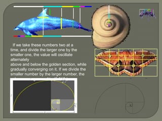 Self Reproducing Machines | PPTX