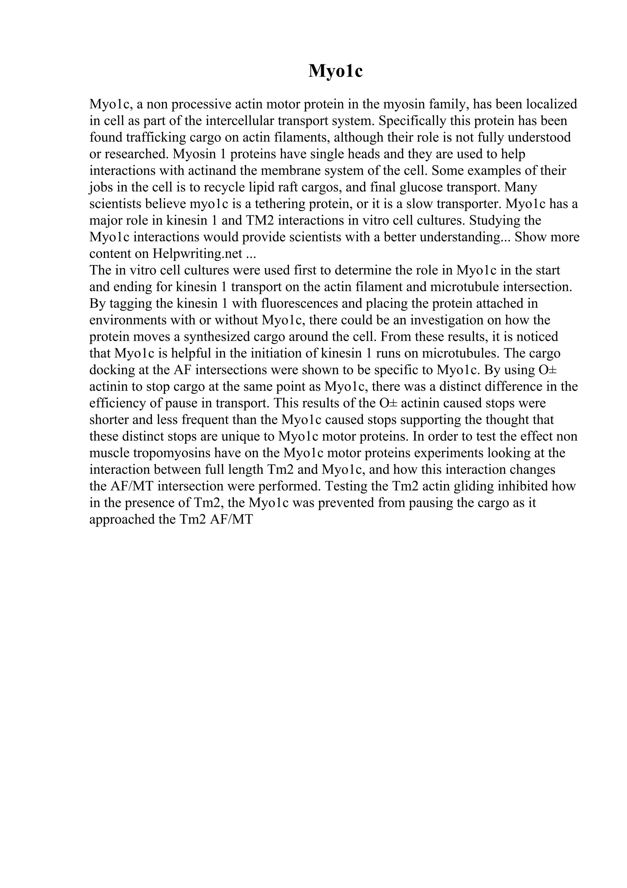 Self Respect Definition Essay | PDF