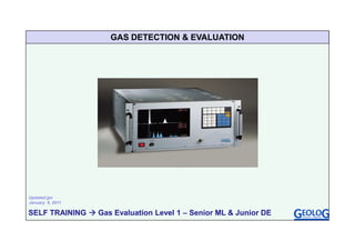 Gas Evaluation Level 1.pdf