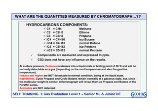 Gas Evaluation Level 1.pdf