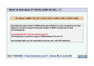 Gas Evaluation Level 1.pdf
