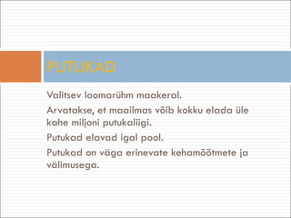 Selgrootud Loomad | PPT