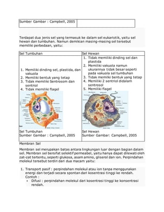 Sel hand out modul | DOCX