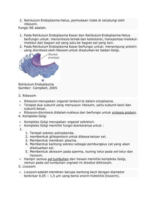 Sel hand out modul | DOCX