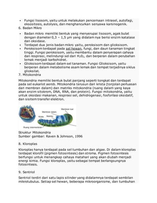 Sel hand out modul | DOCX