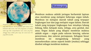 Sel hewan dan tumbuhan | PPTX