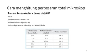 sel hewan dan tumbuhan ppt kelas 8 smp.pptx