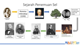 Biologi Sel kelas XI bab 1 prokariotik dan eukariotik | PPTX
