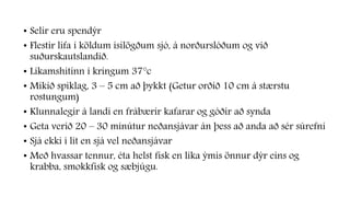 Selir og fuglar | PPT