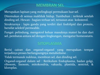 Sel, Jaringan dan Organ dari Hewan dan Tumbuhan | PPTX