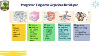 Sel_Jaringan_dan_Organ_Struktur_Organ_Si.pptx