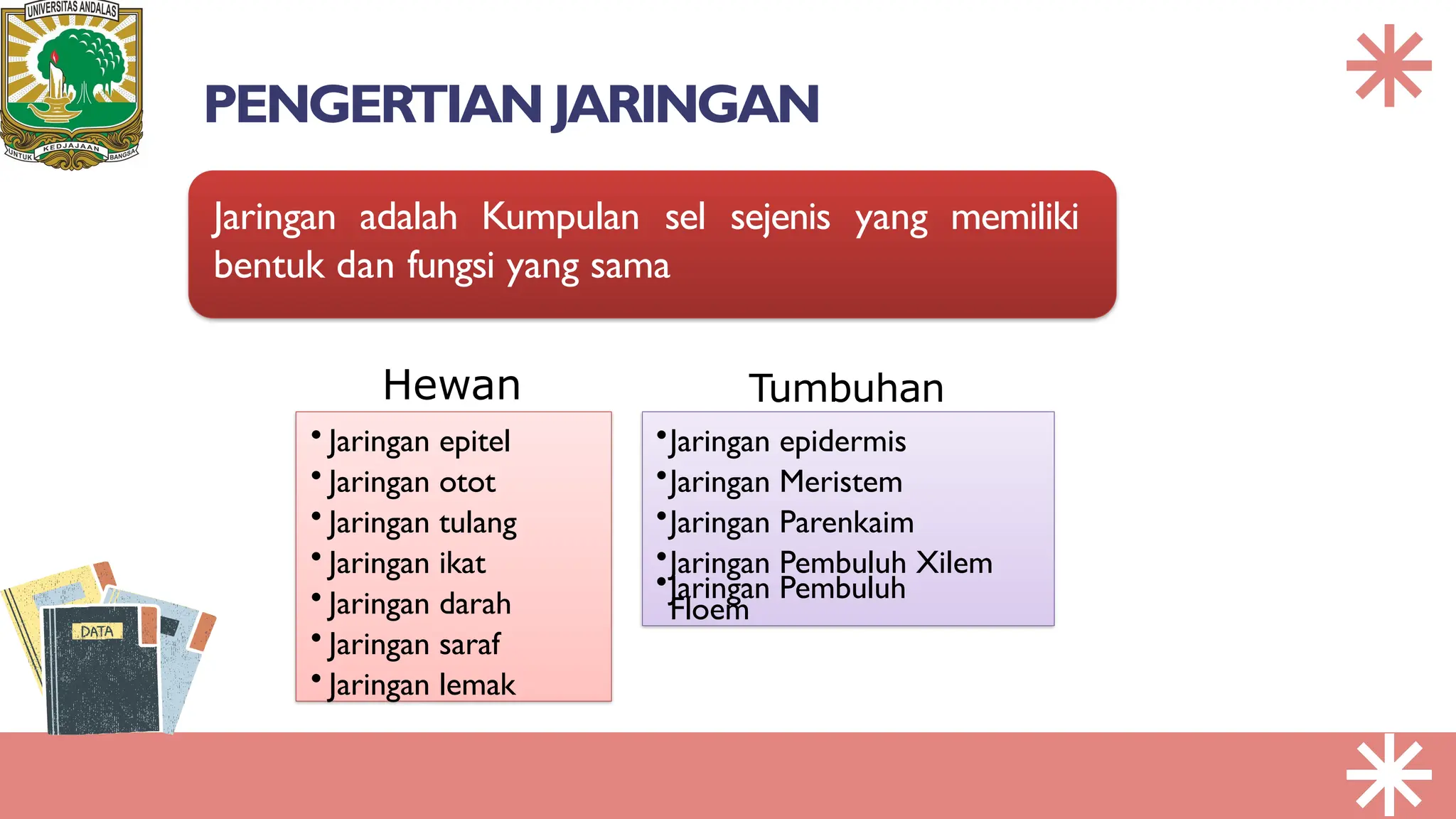 Sel, Jaringan dan Organ, Struktur Organ, Sistem Organ dan Organisme ...