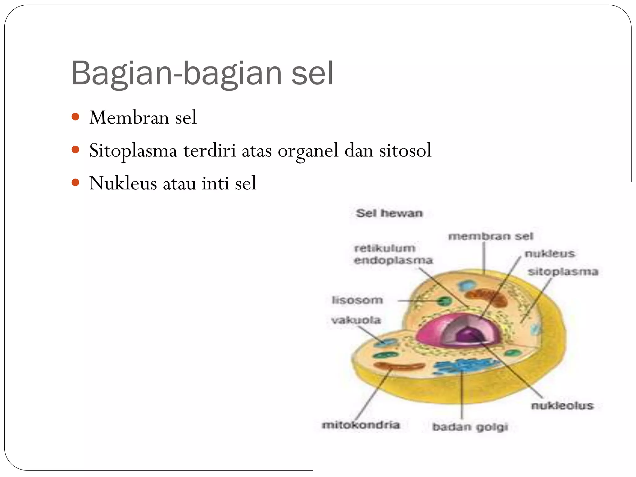 Sel, jaringan, organ dan sistem organ | PDF