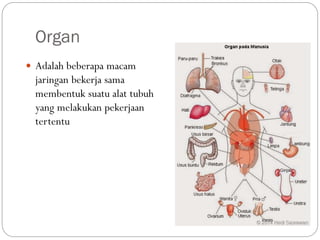 Sel, jaringan, organ dan sistem organ | PDF