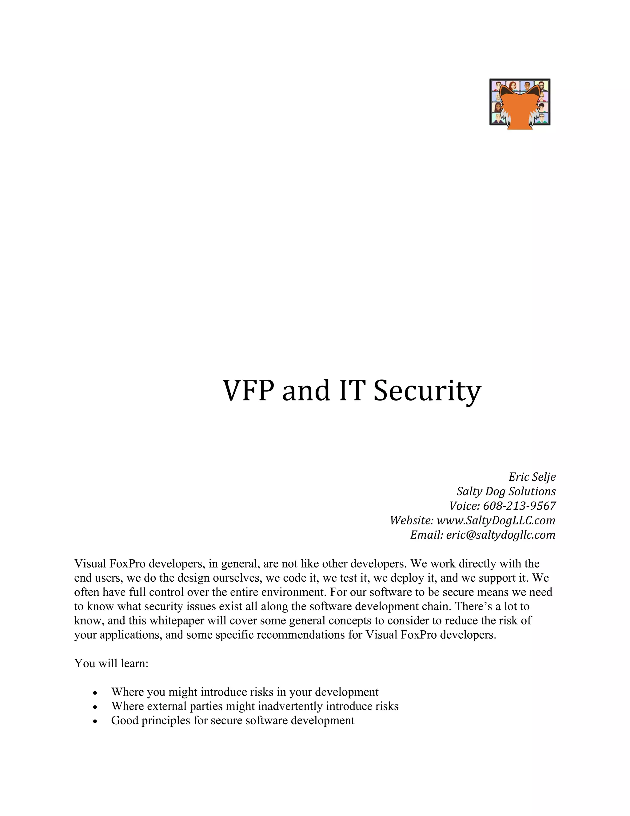 SELJE - VFP and IT Security.pdf