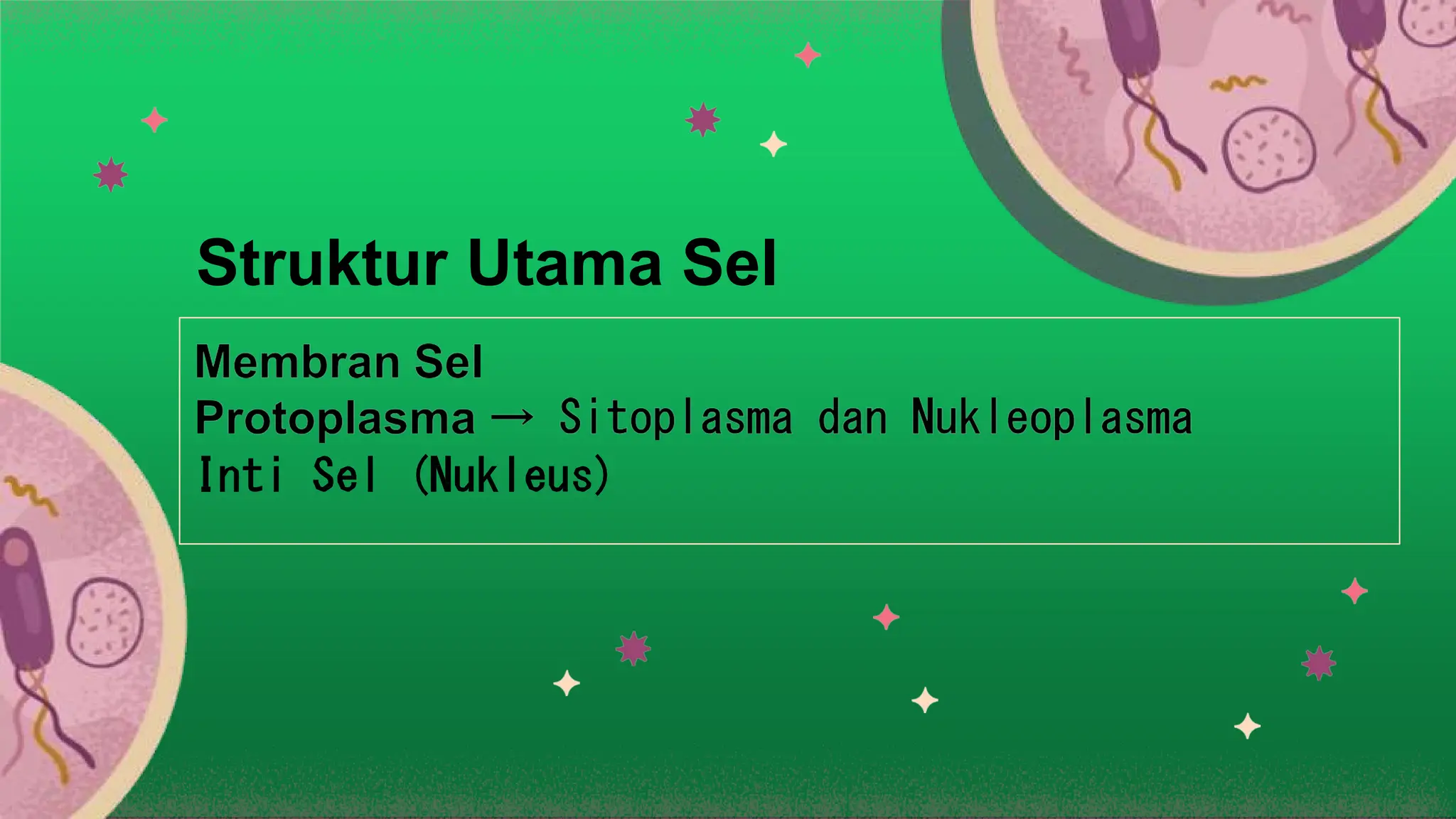 Sel kelas 8.ppt spesialisasi sel kelas 8 semester 1 | PPTX