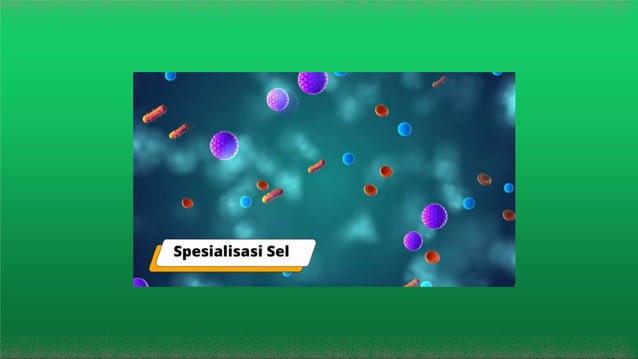 Sel kelas 8.ppt spesialisasi sel kelas 8 semester 1 | PPTX