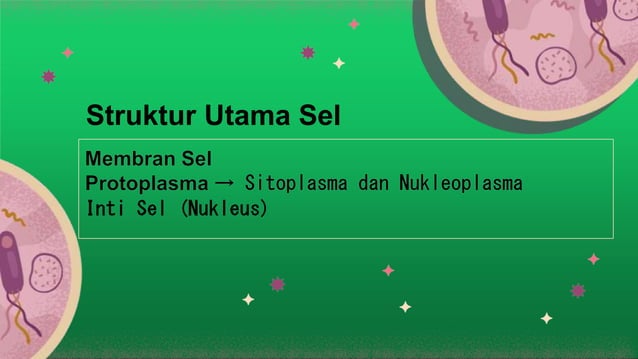 Sel kelas 8.ppt spesialisasi sel kelas 8 semester 1 | PPTX