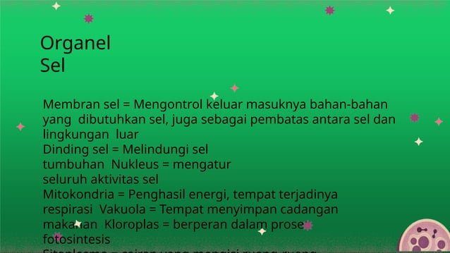 Sel kelas 8.ppt spesialisasi sel kelas 8 semester 1 | PPTX