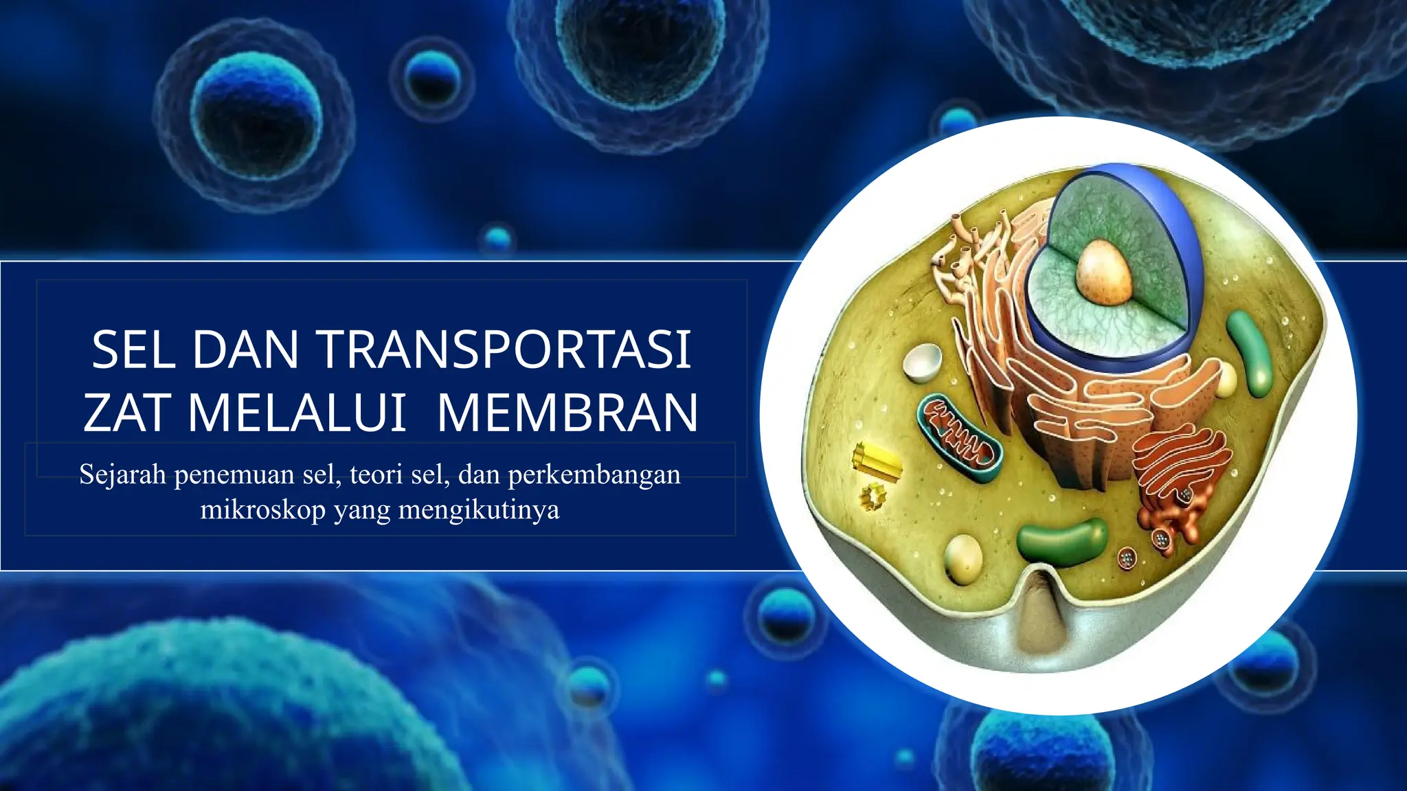 Sel Kelas XI BIOLOGI KELAS 11 SEL HEWAN DAN TUMBUHAN.pptx