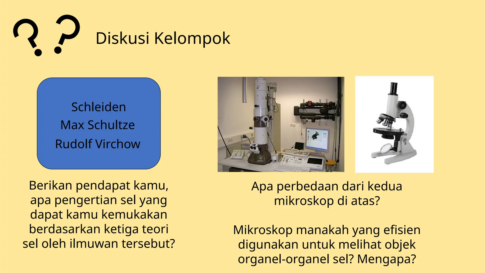 Sel Kelas XI BIOLOGI KELAS 11 SEL HEWAN DAN TUMBUHAN.pptx