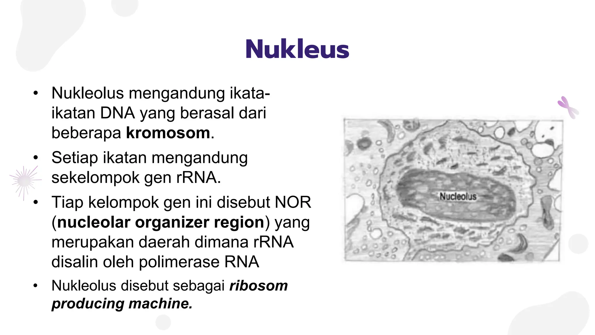Cell, chromosome "building blocks of life" | PPTX