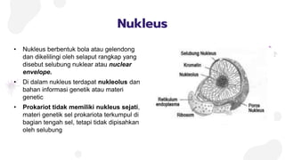 Cell, chromosome "building blocks of life" | PPTX