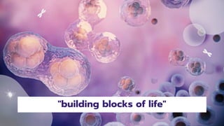 Cell, chromosome "building blocks of life" | PPTX
