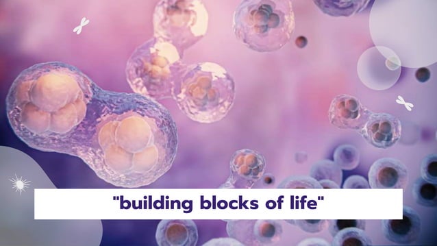 Cell, chromosome "building blocks of life" | PPTX