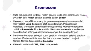 Cell, chromosome "building blocks of life" | PPTX