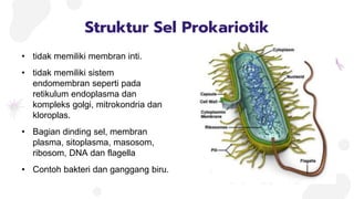 Cell, chromosome "building blocks of life" | PPTX