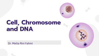 Cell, chromosome "building blocks of life" | PPT