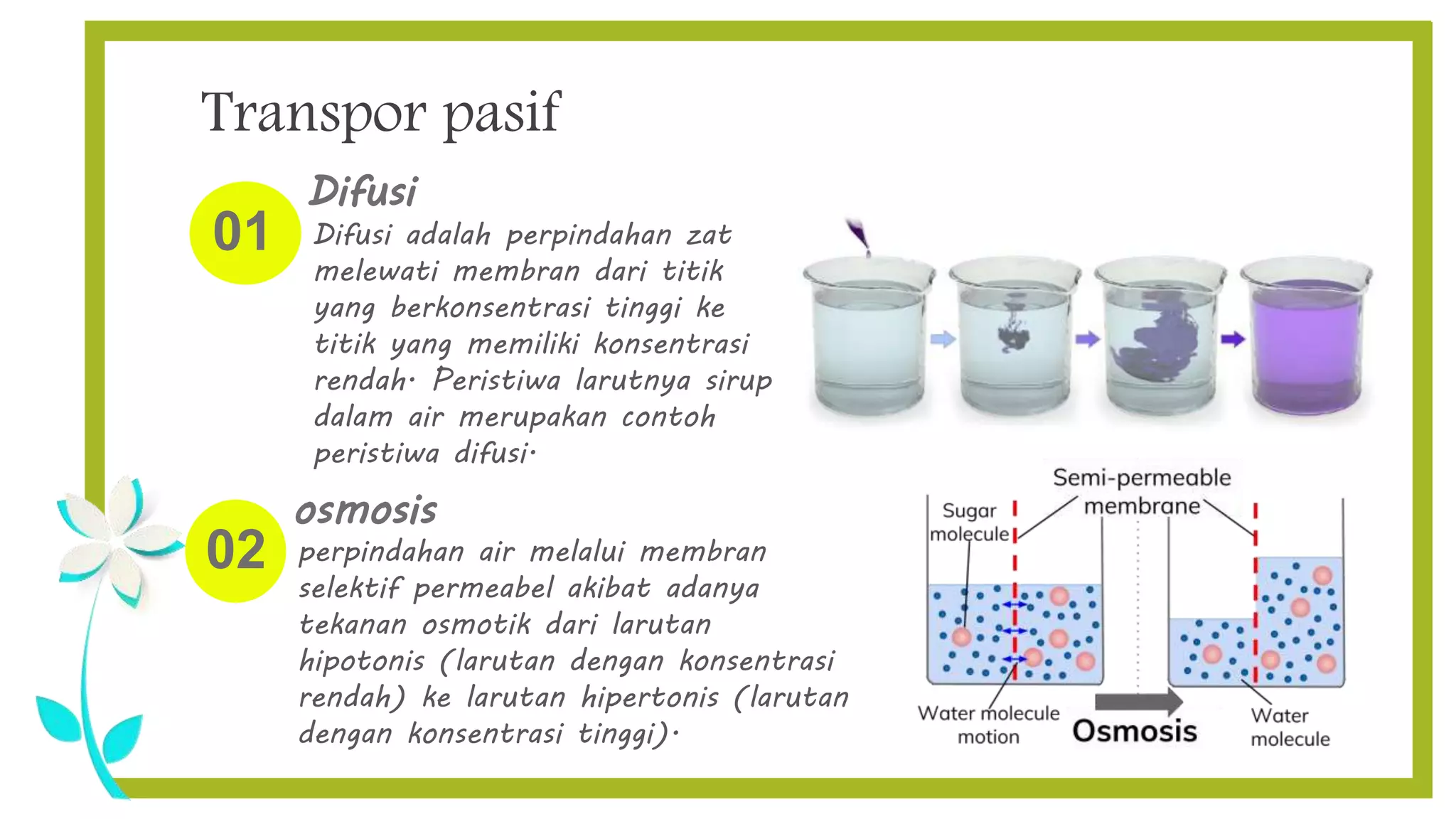 biologi sel struktur dan fungsi lengkap | PPTX
