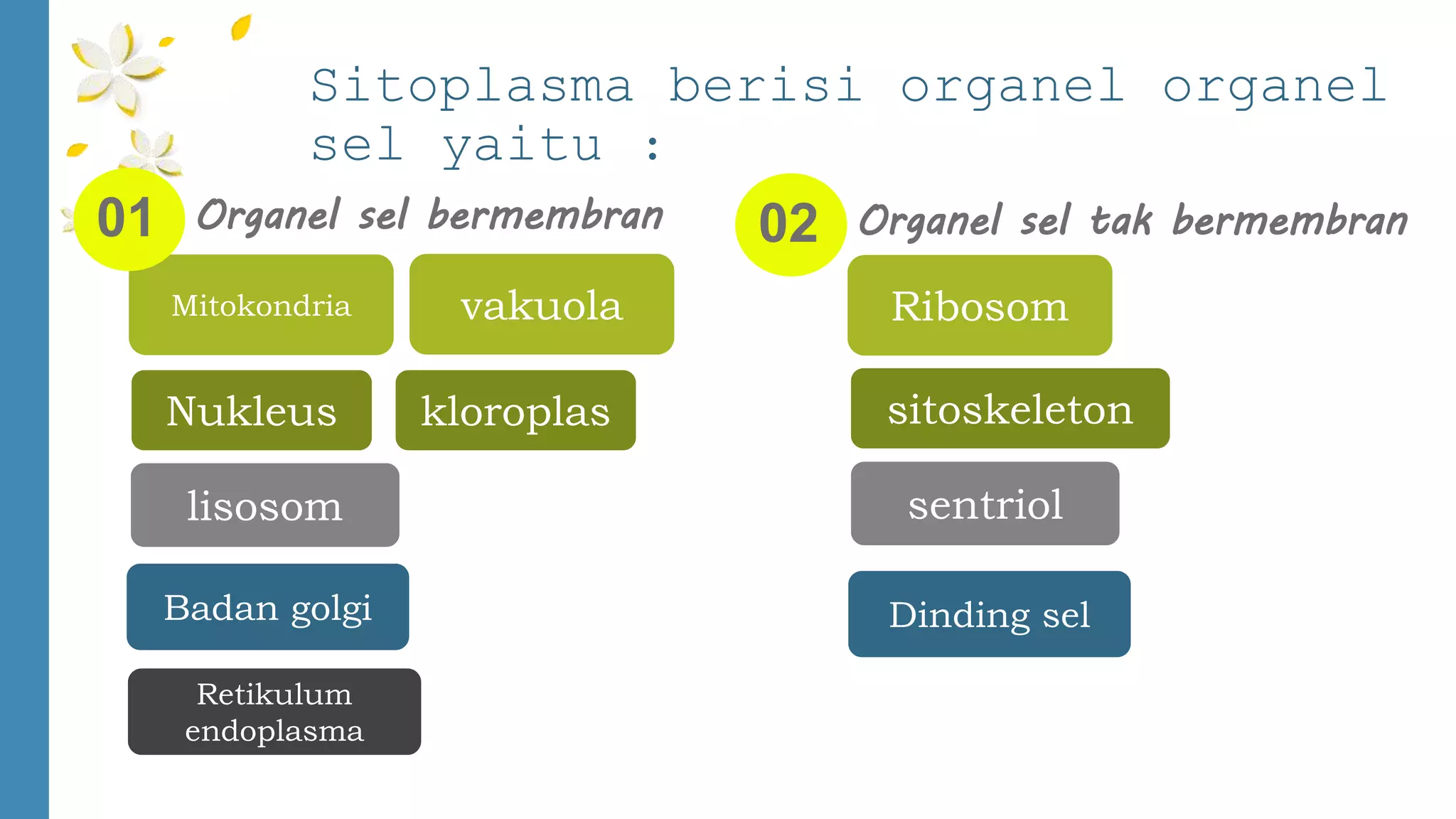 biologi sel struktur dan fungsi lengkap | PPTX