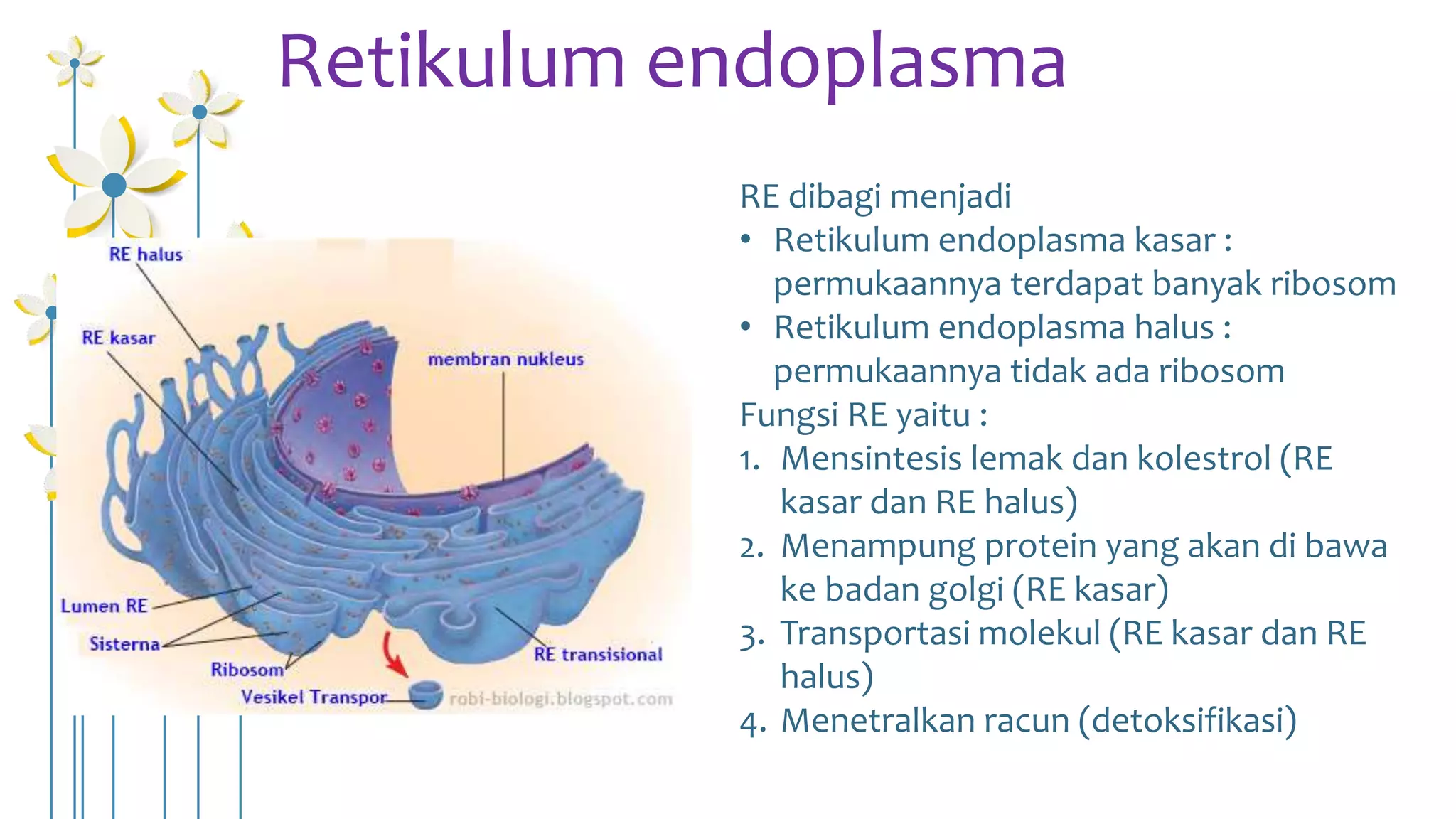 biologi sel struktur dan fungsi lengkap | PPTX