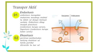 biologi sel struktur dan fungsi lengkap | PPTX
