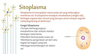 biologi sel struktur dan fungsi lengkap | PPTX
