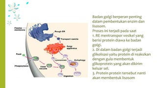 biologi sel struktur dan fungsi lengkap | PPTX